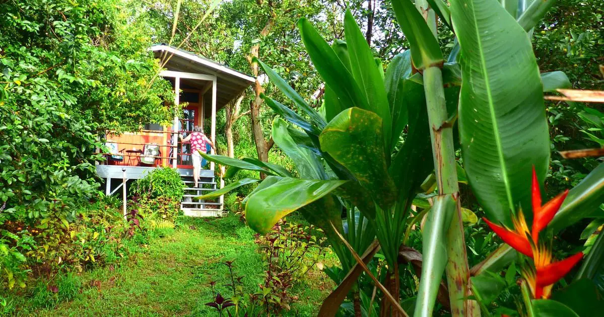 Start an Off Grid Homestead in Hawaii