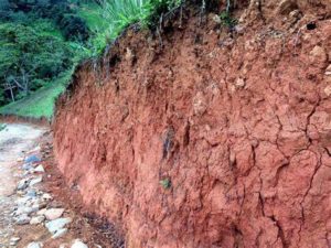 Building Soil in Hawai’i: The Ultimate Recipe