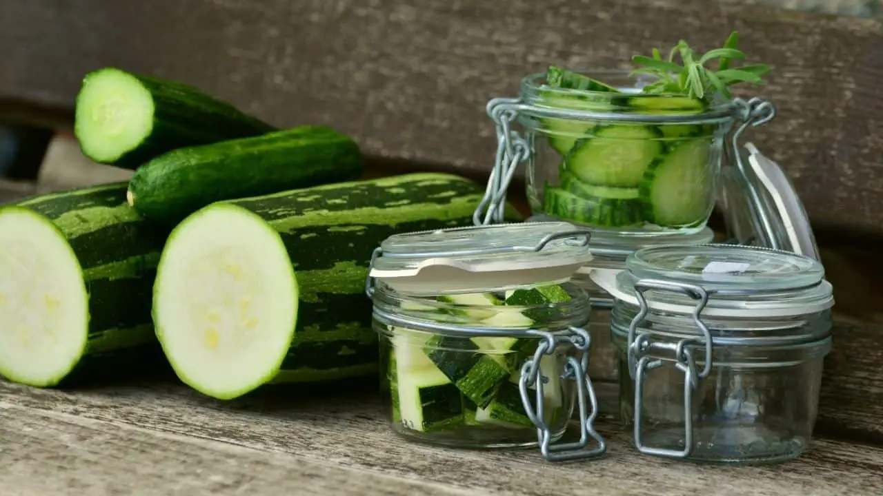 Growing Cucumbers in Hawai’i | Homesteadinʻ Hawaiʻi