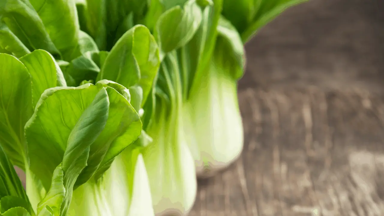 16 Edible Greens For The Tropical Garden Homesteadinʻ Hawaiʻi