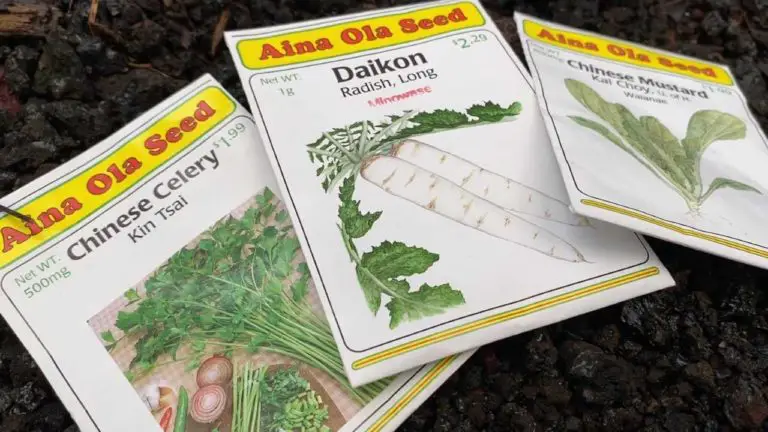 Top 6 Seed Companies For Hawaii & The Tropics | Homesteadinʻ Hawaiʻi