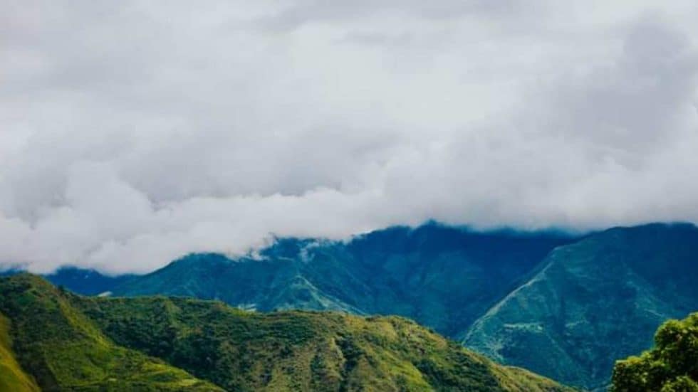 Homesteadinʻ Hawaii: Off Grid Permaculture in the tropics