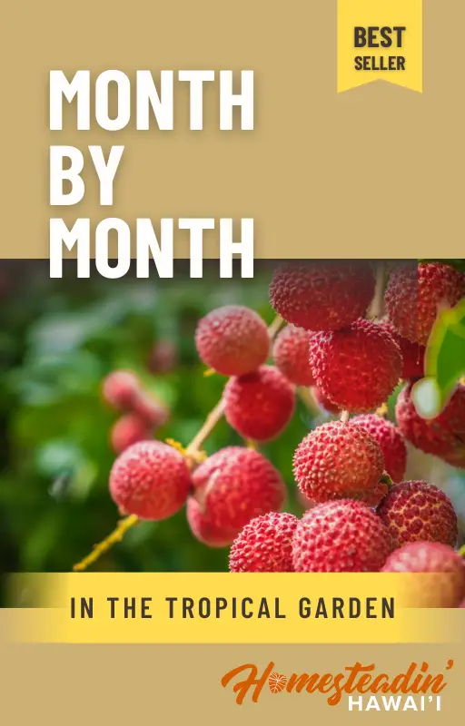 Homesteadinʻ Hawaii: Off Grid Permaculture in the tropics