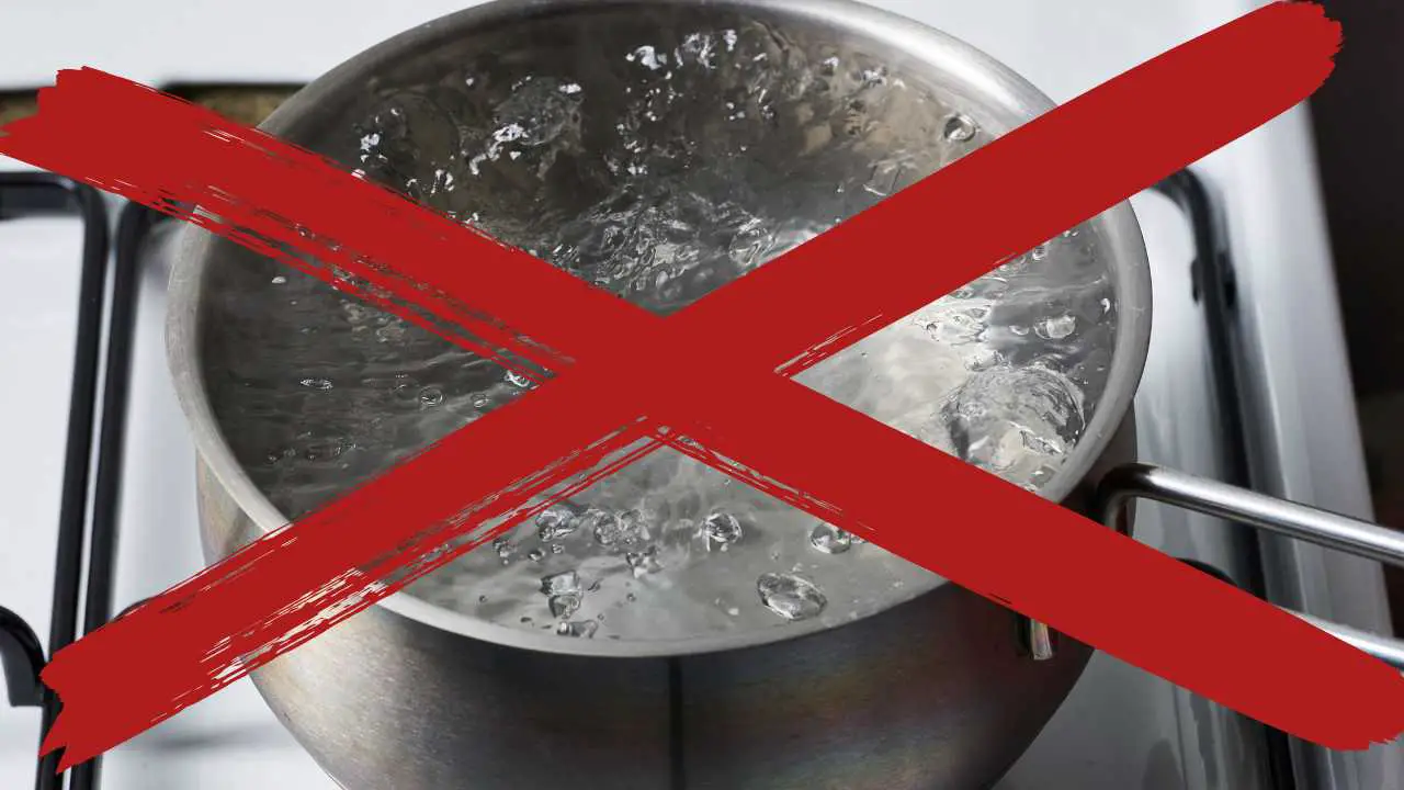 You'll Never Guess The Cheapest Way To Purify Water | Homesteadinʻ Hawaiʻi