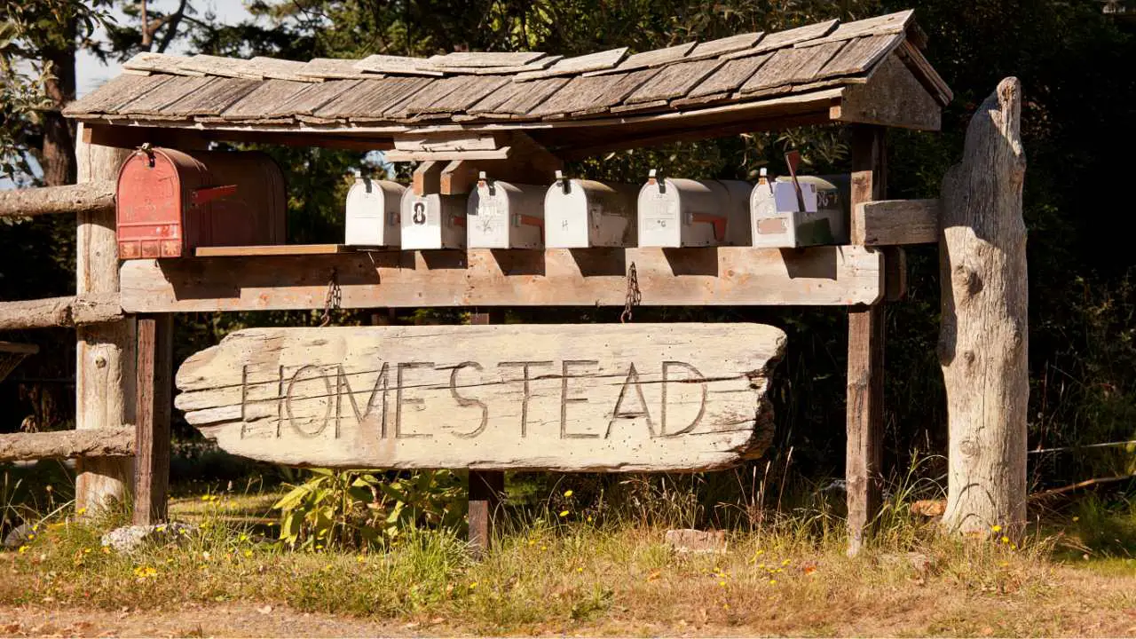 Having Doubts About Starting A Homestead? | Homesteadinʻ Hawaiʻi