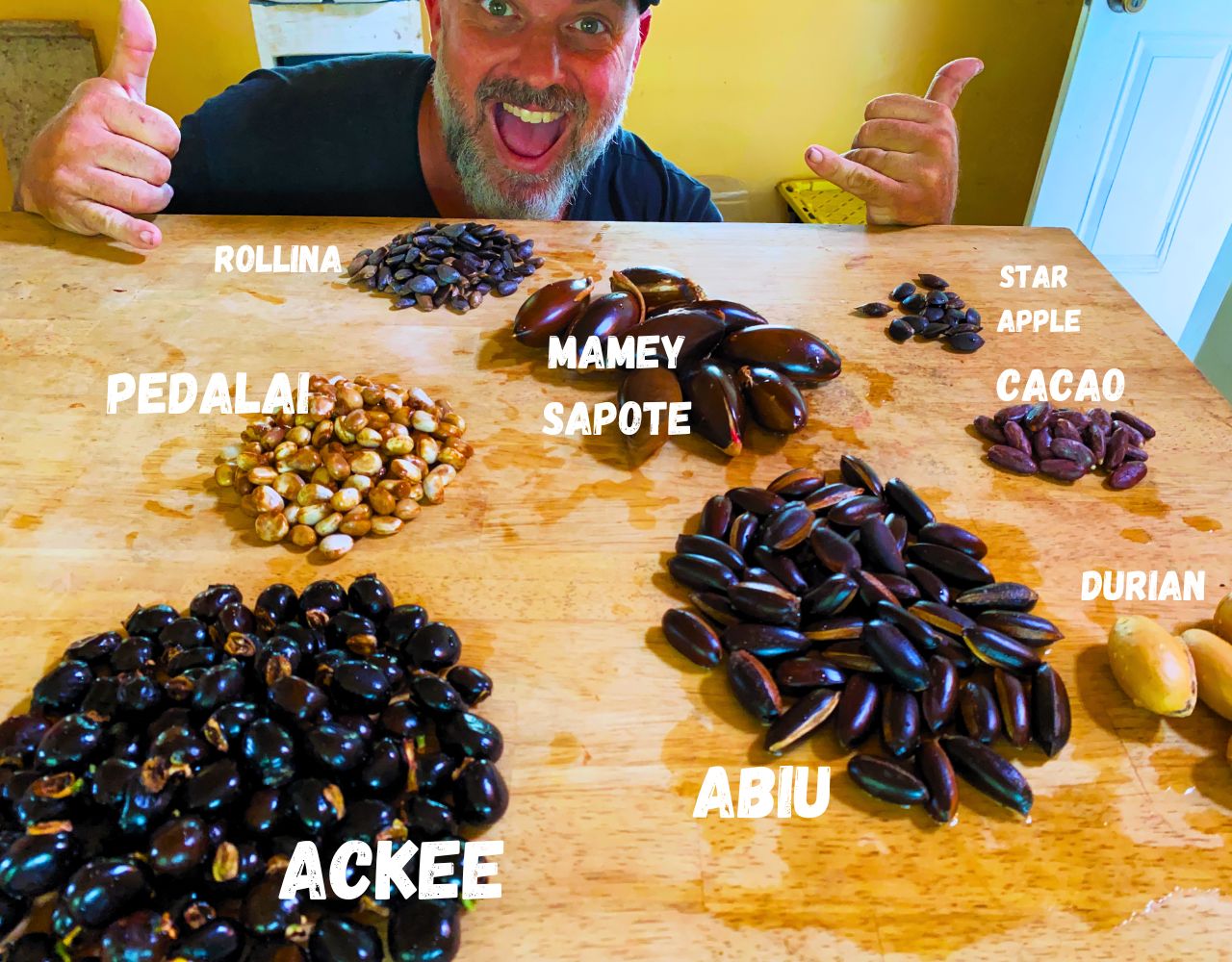 What Fruits Do (and Don’t) Grow True-to-Seed | Homesteadinʻ Hawaiʻi